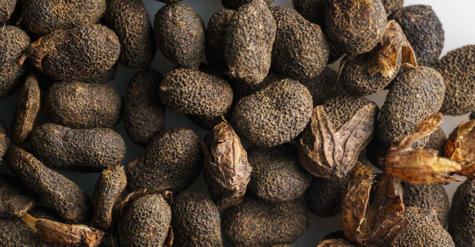 Bakuchiol The Retinol Alternative - fifty7kind.com